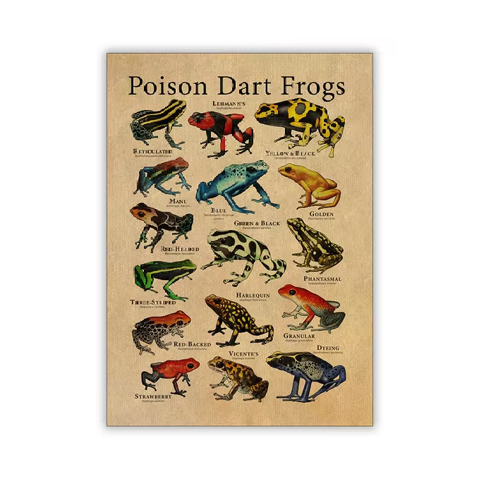 Vintage Frog Poster | Aesthetic Roomcore